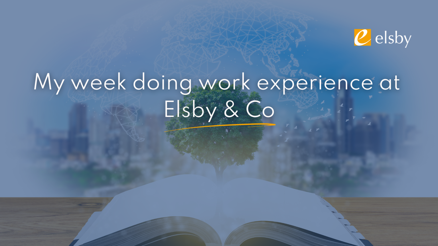 My week of work experience at Elsby & Co | Elsby & Co